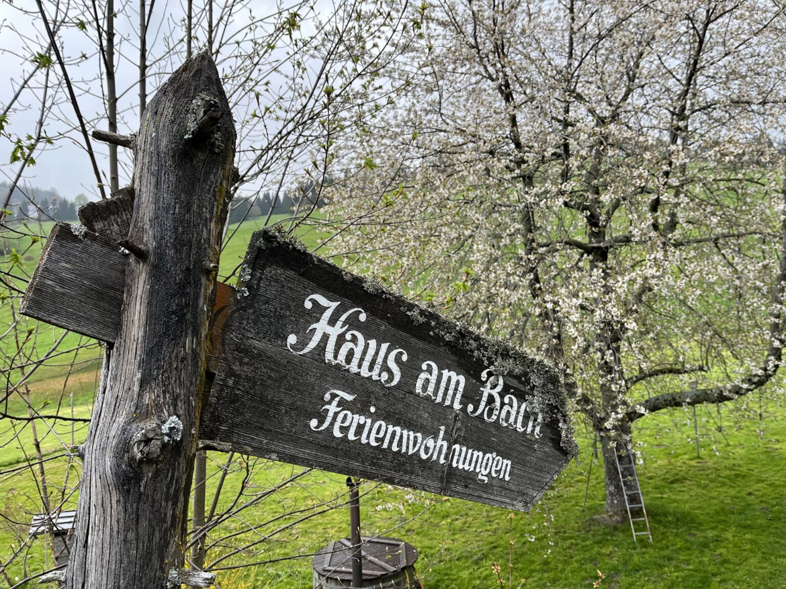 About us | Haus am Bach Todtnauberg