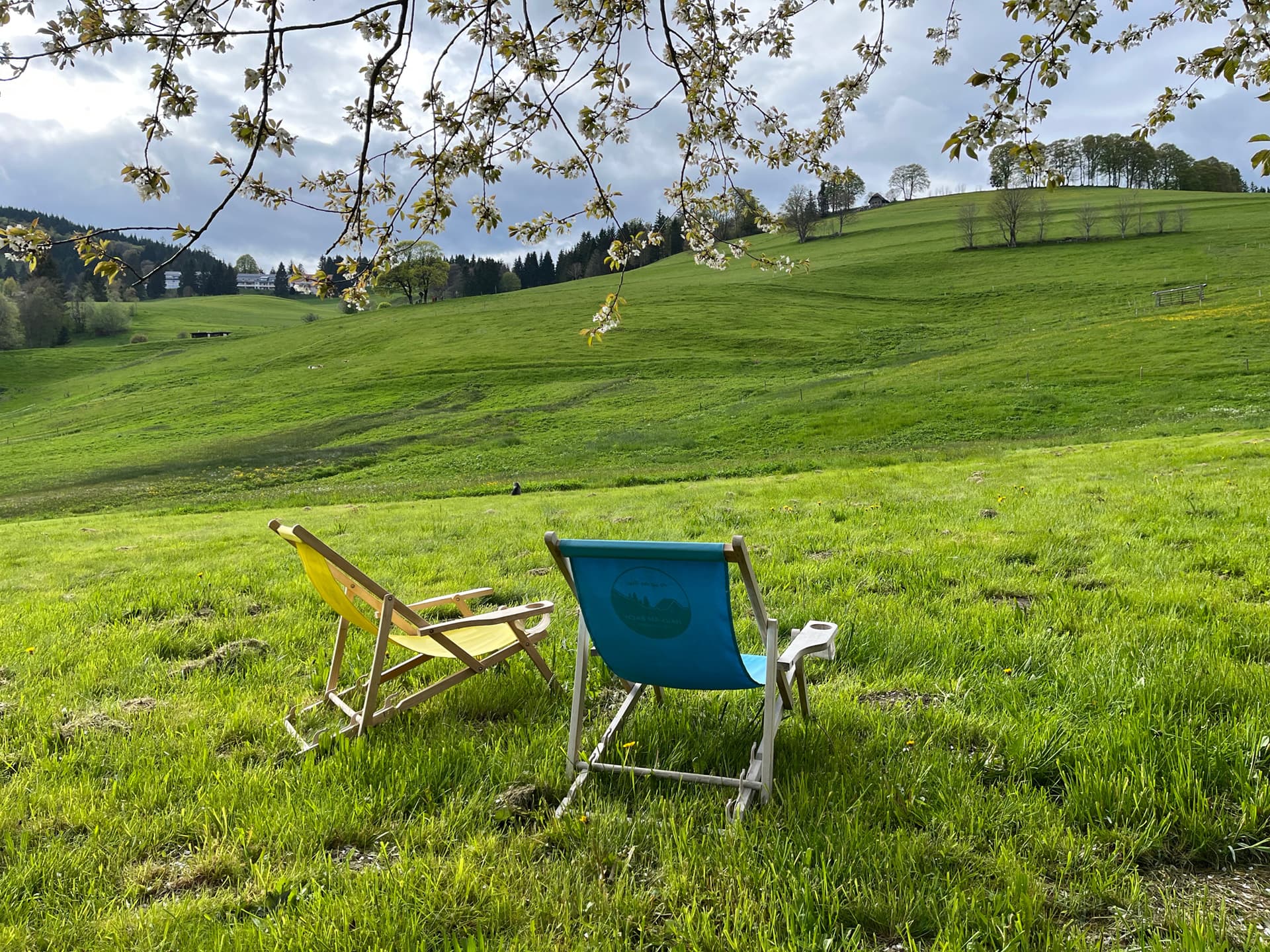 Herzlich Willkommen! | Haus am Bach Todtnauberg