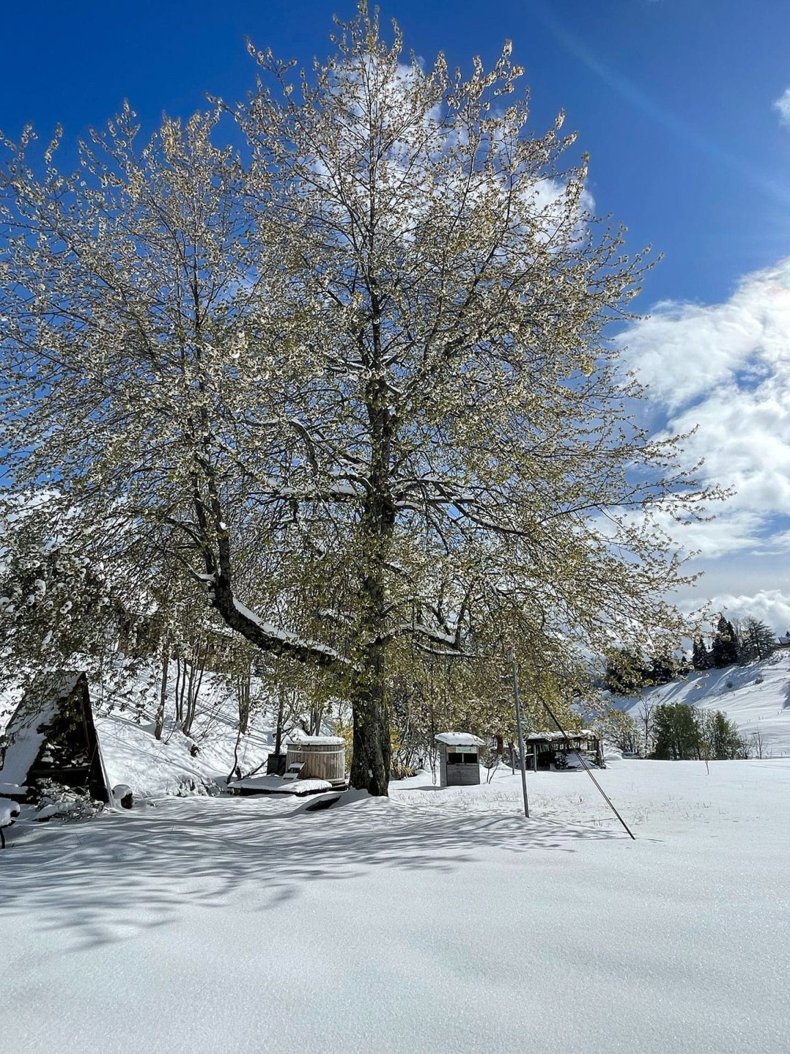 Haus am Bach Todtnauberg | A great start